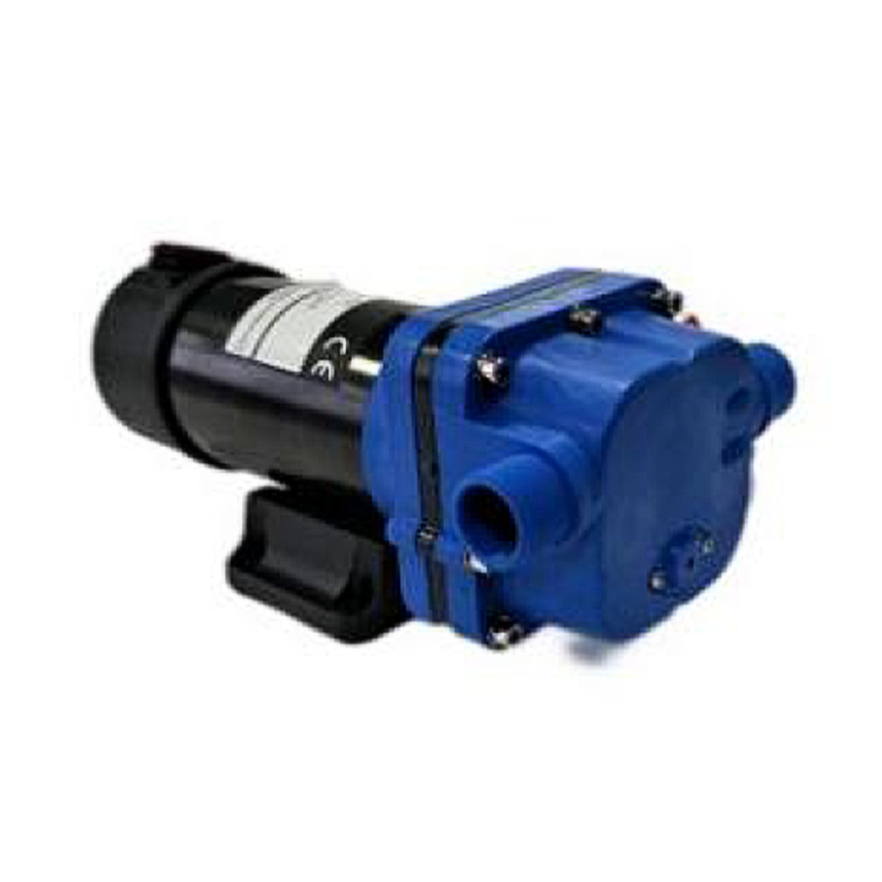 GP17012 Electric Dc Adblue Pump – www.dieseltank.com